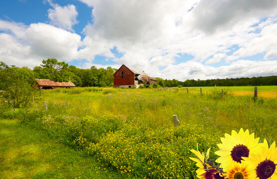 50+ beautiful Farm picture background wallpapers for your phone