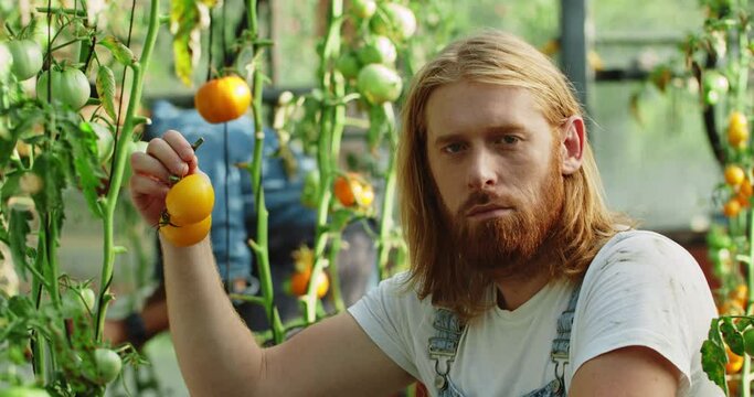 Harving Images – Browse 1,293 Stock Photos, Vectors, and Video | Adobe ...