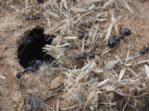 รูปภาพTabacchi – เลือกดูภาพถ่ายสต็อก เวกเตอร์ และวิดีโอ531 | Adobe Stock