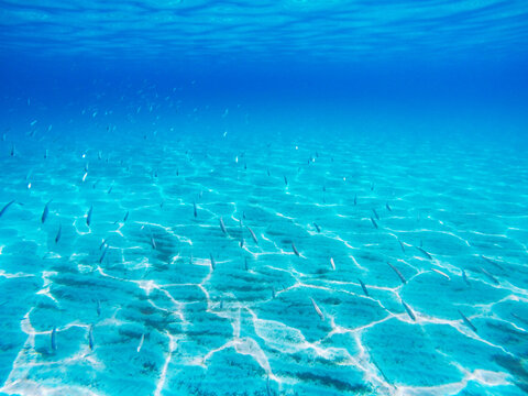 รูปภาพMilted – เลือกดูภาพถ่ายสต็อก เวกเตอร์ และวิดีโอ6,990 | Adobe Stock