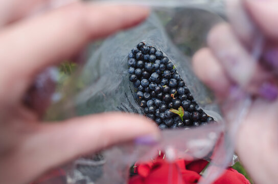 Windberry-Bilder: Stock-Fotos & -Videos. | Adobe Stock