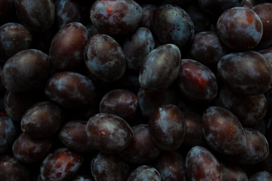 รูปภาพDamsons – เลือกดูภาพถ่ายสต็อก เวกเตอร์ และวิดีโอ8,040 | Adobe Stock