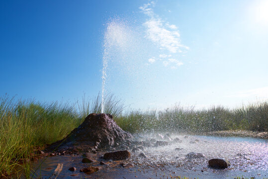 Imágenes de Giman: descubre bancos de fotos, ilustraciones, vectores y ...