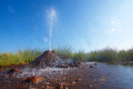 Imágenes de Giman: descubre bancos de fotos, ilustraciones, vectores y ...