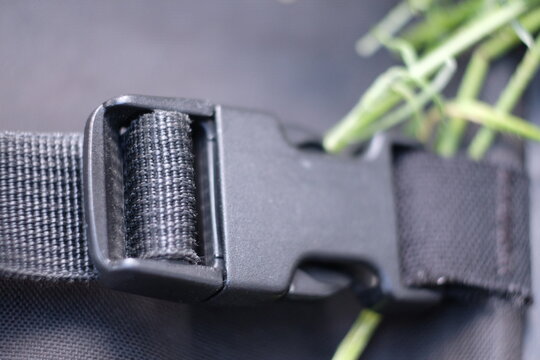 Gurt bilder – Bläddra bland 2,607 stockfoton, vektorer och videor ...