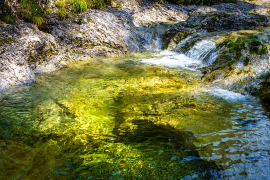 Gumpe Bilder – Durchsuchen 295 Archivfotos, Vektorgrafiken und Videos ...