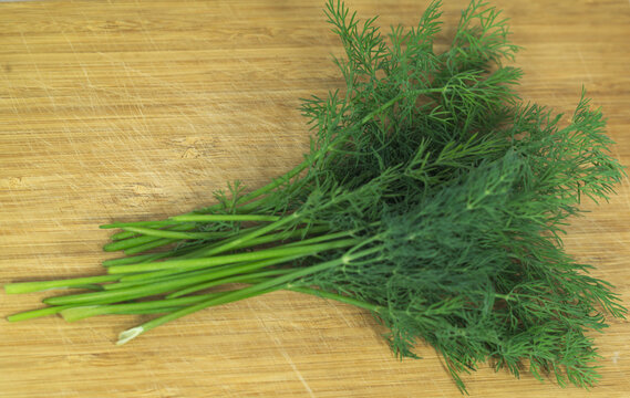 Koperek 이미지 – 찾아보기 618 스톡 사진, 벡터 및 비디오 | Adobe Stock