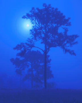 Midnight Blue Moon Images – Browse 87,364 Stock Photos, Vectors, and ...