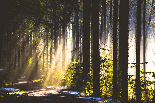 Reto photos, images, assets | Adobe Stock