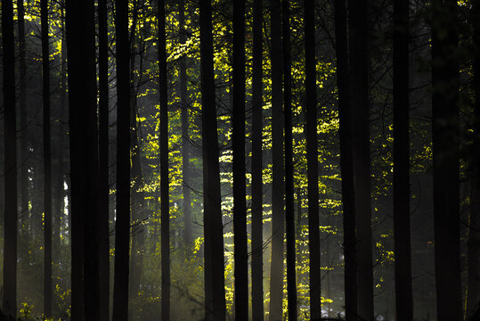 Reto photos, images, assets | Adobe Stock