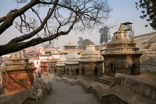Pashupati Bilder – Durchsuchen 657 Archivfotos, Vektorgrafiken und ...