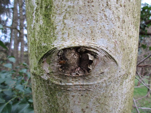 Astloch Images – Parcourir 3,592 le catalogue de photos, vecteurs et ...