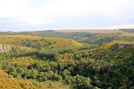 Lom bilder – Bläddra bland 4,835 stockfoton, vektorer och videor ...