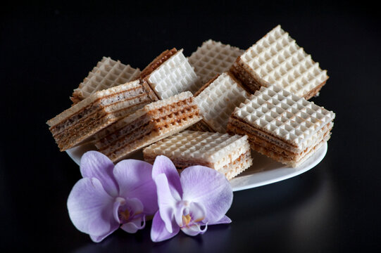 Pischinger Images – Browse 15 Stock Photos, Vectors, and Video | Adobe ...