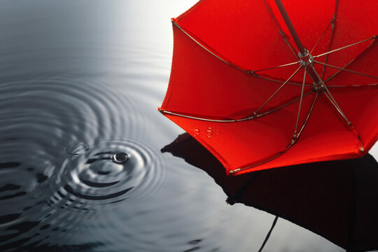 รูปภาพGlumly – เลือกดูภาพถ่ายสต็อก เวกเตอร์ และวิดีโอ1,268 | Adobe Stock