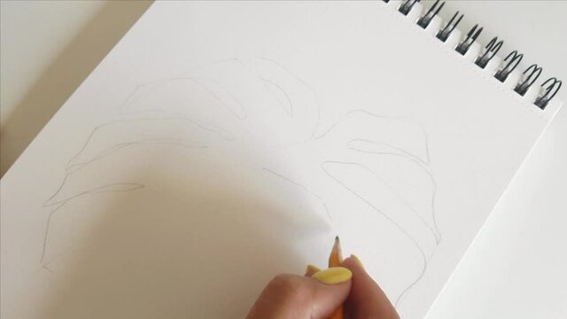 รูปภาพDarwing – เลือกดูภาพถ่ายสต็อก เวกเตอร์ และวิดีโอ294 | Adobe Stock