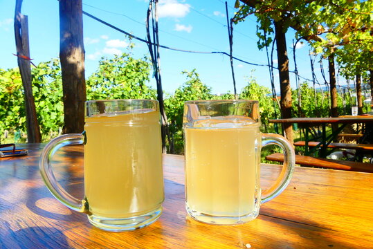 "Heuriger-Bilder: Stock-Fotos & -Videos. | Adobe Stock