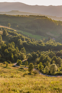 alex_bendea photos, images, assets | Adobe Stock