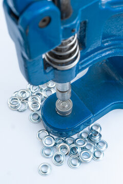 Lederzecke Bilder – Durchsuchen 846 Archivfotos, Vektorgrafiken und ...