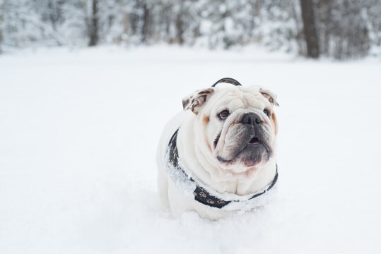 Reto photos, images, assets | Adobe Stock