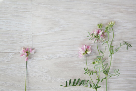 Varia Images – Browse 7,010 Stock Photos, Vectors, and Video | Adobe Stock