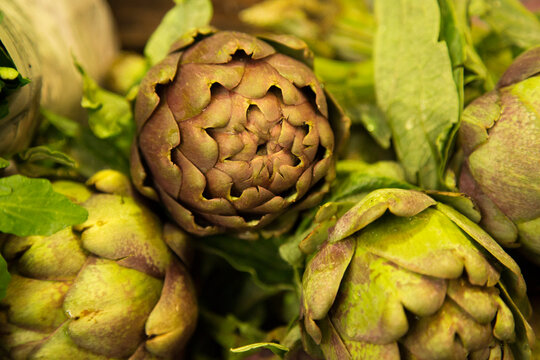 「Alcaucil」の画像 - 113 件の Stock 写真、ベクターおよびビデオ | Adobe Stock