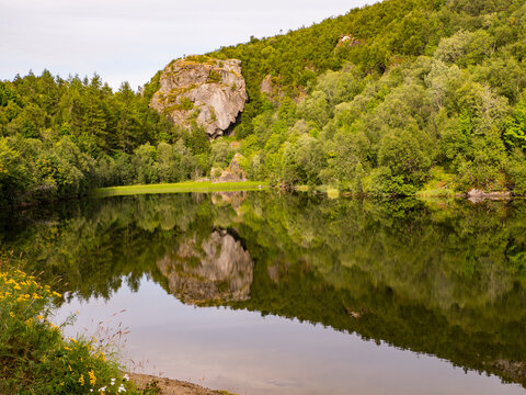 Veten Images – Browse 36 Stock Photos, Vectors, and Video | Adobe Stock