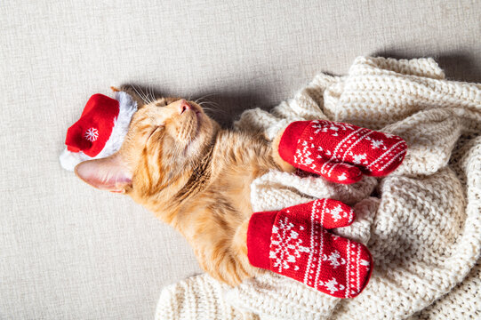 Christmas Postcard Back Images – Browse 1,938 Stock Photos, Vectors ...