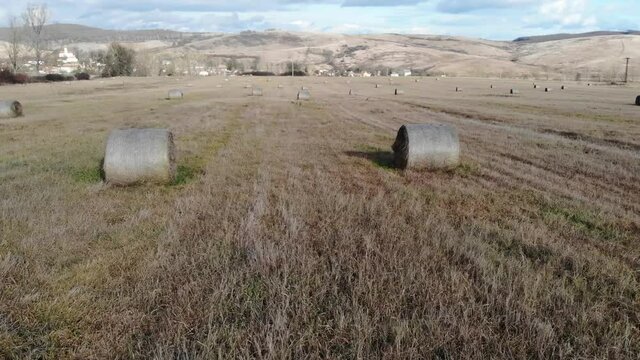 รูปภาพStrew – เลือกดูภาพถ่ายสต็อก เวกเตอร์ และวิดีโอ26,840 | Adobe Stock