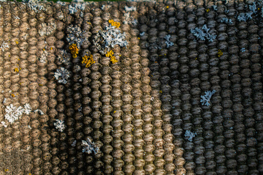 Wum bilder – Bläddra bland 184 stockfoton, vektorer och videor | Adobe ...