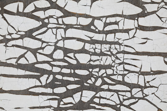 Imágenes de Cuarteado: descubre bancos de fotos, ilustraciones ...