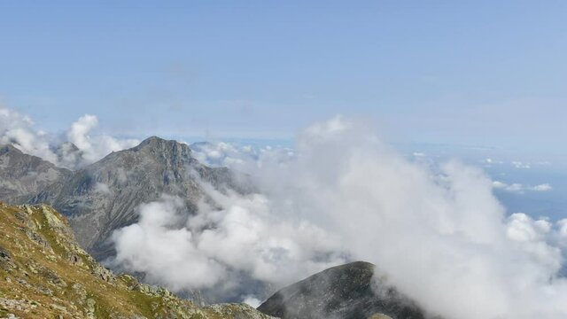 รูปภาพMucrone – เลือกดูภาพถ่ายสต็อก เวกเตอร์ และวิดีโอ96 | Adobe Stock