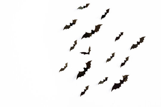 Vampire White Background Images – Browse 41,241 Stock Photos, Vectors ...