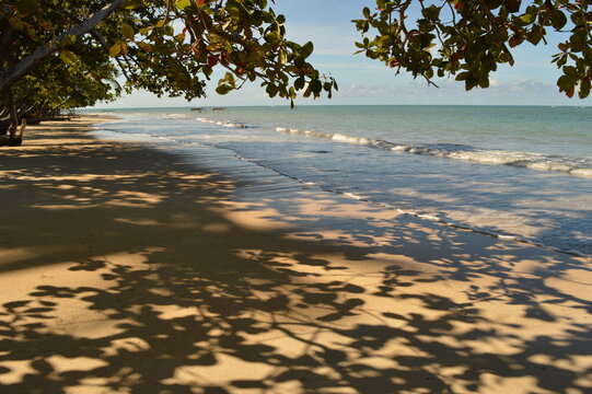 Boipeba Images – Parcourir 1,272 le catalogue de photos, vecteurs et ...