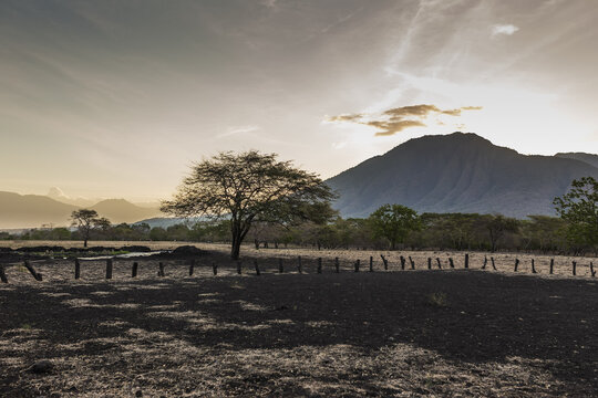 "Baluran National Park" Images – Browse 234 Stock Photos, Vectors, and ...