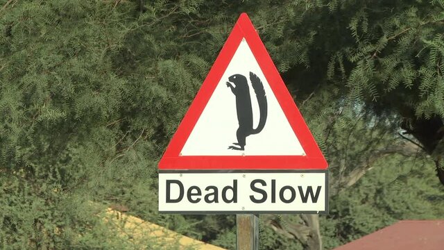 "Dead Slow" Images – Browse 33 Stock Photos, Vectors, and Video | Adobe ...