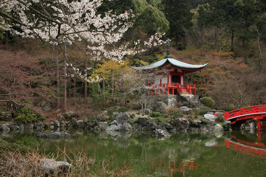 Catamite Bilder – Durchsuchen 1,134 Archivfotos, Vektorgrafiken und ...