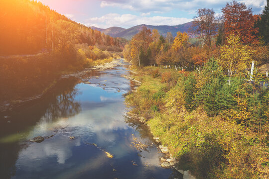 รูปภาพTarty – เลือกดูภาพถ่ายสต็อก เวกเตอร์ และวิดีโอ193 | Adobe Stock