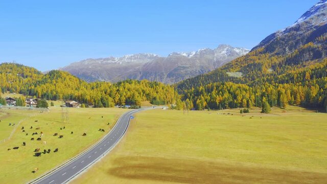 Languard Images – Browse 371 Stock Photos, Vectors, and Video | Adobe Stock