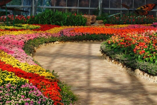 "Flower Road" Images – Browse 668 Stock Photos, Vectors, and Video ...