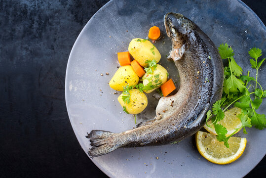 「Lachsfisch」の画像 - 142 件の Stock 写真、ベクターおよびビデオ | Adobe Stock