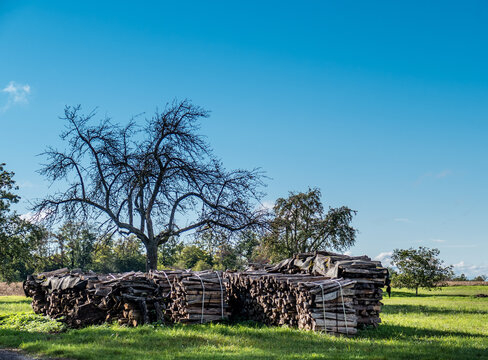 Aufgesetzt Images – Browse 252 Stock Photos, Vectors, and Video | Adobe ...