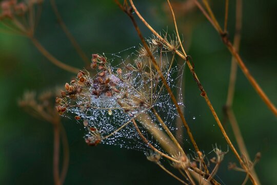 Noga Images – Parcourir 3,392 le catalogue de photos, vecteurs et ...