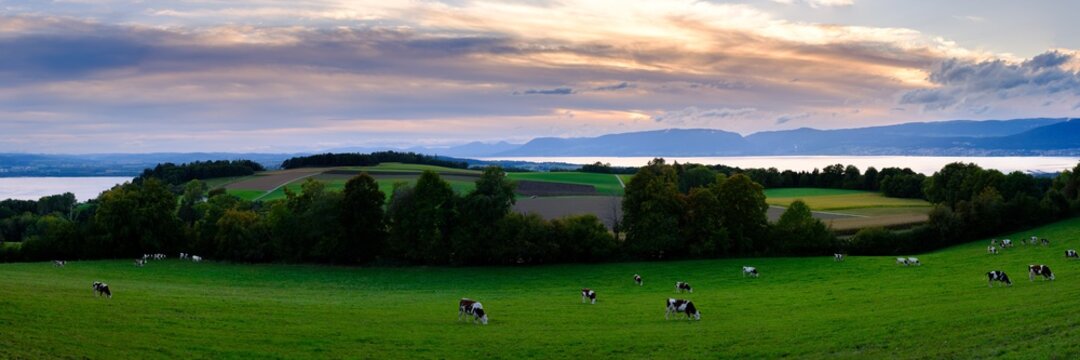 Imagens de Panoramafoto – Explore Fotografias do Stock, Vetores e ...