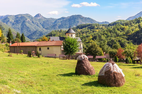 รูปภาพMoracha – เลือกดูภาพถ่ายสต็อก เวกเตอร์ และวิดีโอ237 | Adobe Stock