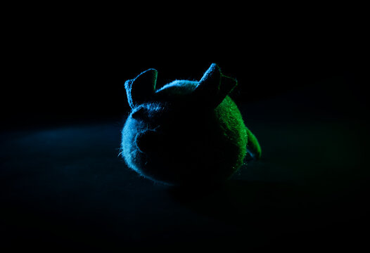 Musophobia Images – Browse 128 Stock Photos, Vectors, and Video | Adobe ...