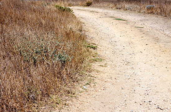 "Dry Road"-Bilder: Stock-Fotos & -Videos. | Adobe Stock