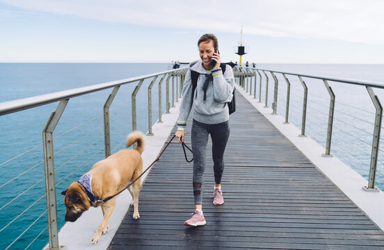 「Mongler」の写真素材 | 13件の無料イラスト画像 | Adobe Stock