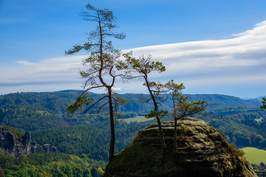「Erobern」の画像 - 697 件の Stock 写真、ベクターおよびビデオ | Adobe Stock