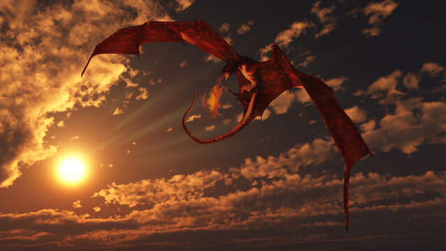 รูปภาพWyrm – เลือกดูภาพถ่ายสต็อก เวกเตอร์ และวิดีโอ163 | Adobe Stock